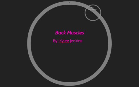 Thoracolumbar Muscle by kylee jenkins on Prezi