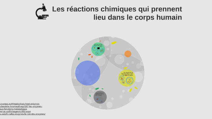 Les réactions chimiques qui prennent lieu dans le corps huma by Bora ...