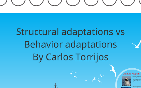 Structural adaptations vs Behavior adaptations by Palmer Elementary on ...