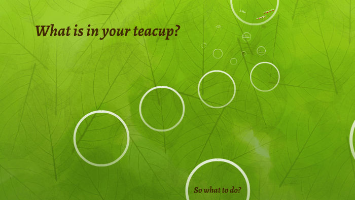 What is in your teacup? by Anna Daneberga on Prezi