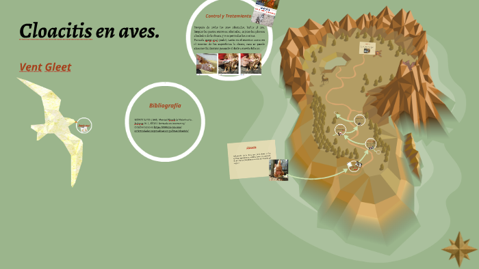 Cloacitis en aves. by Tomas Hernandez on Prezi