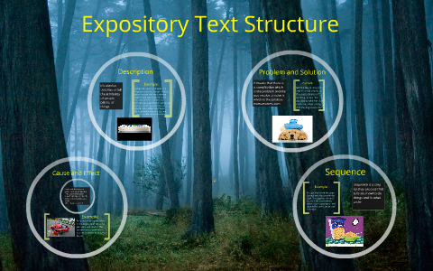 Expository Text Structure by on Prezi