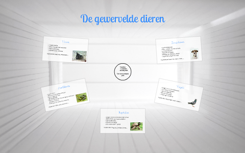 De gewervelde en ongewervelde dieren by Karen De Smet on Prezi