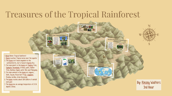 Treasures of the Tropical Rainforests by Kelly Walters on Prezi