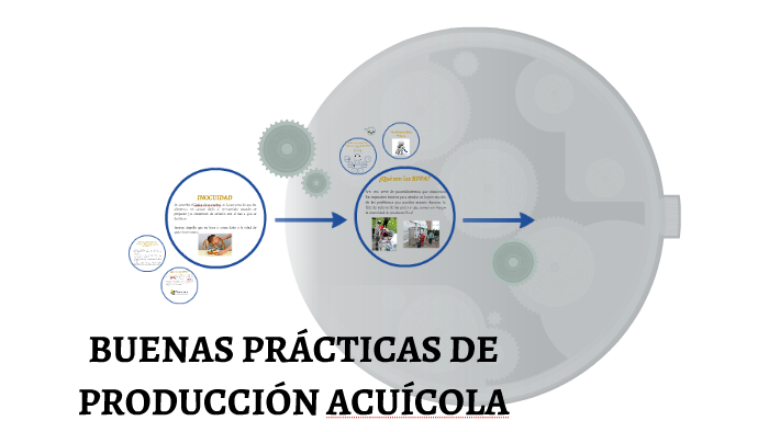 Buenas PrÁcticas De ProducciÓn AcuÍcola By Raul Tapia