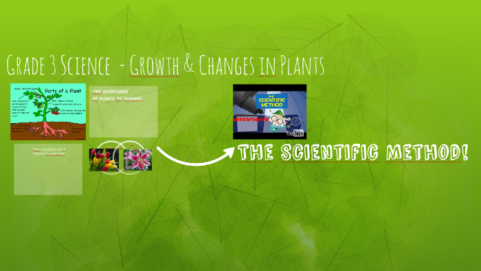Grade 3 Science - Growth & Changes in Plants by Kate McCartney on Prezi
