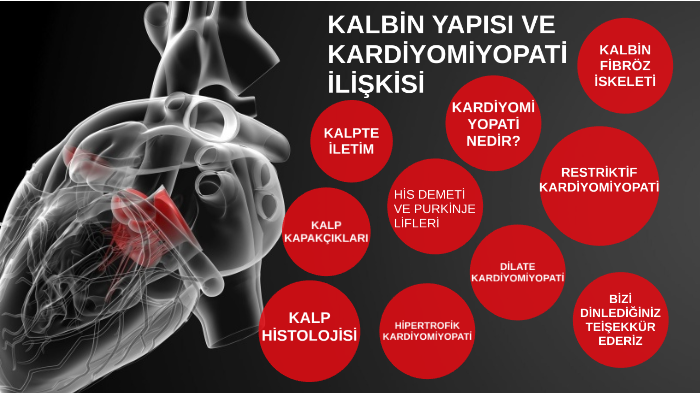 KALBİN YAPISI VE KARDİYOMİYOPATİ İLİŞKİSİ by Sude Sena on Prezi