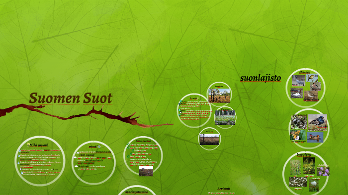 Suomen Suot by Ida Tuovinen on Prezi