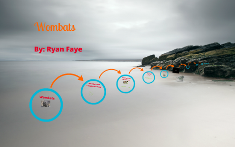Wombat science project by Wombat 69 on Prezi