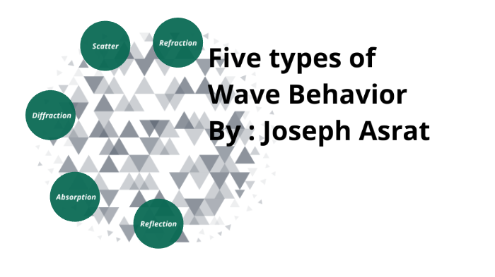 Five types of Wave Behavior by Joseph Asrat on Prezi