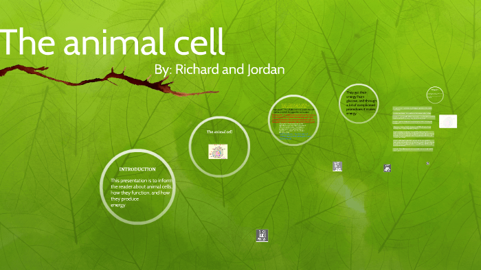 The animal cell by Jordan Hodges