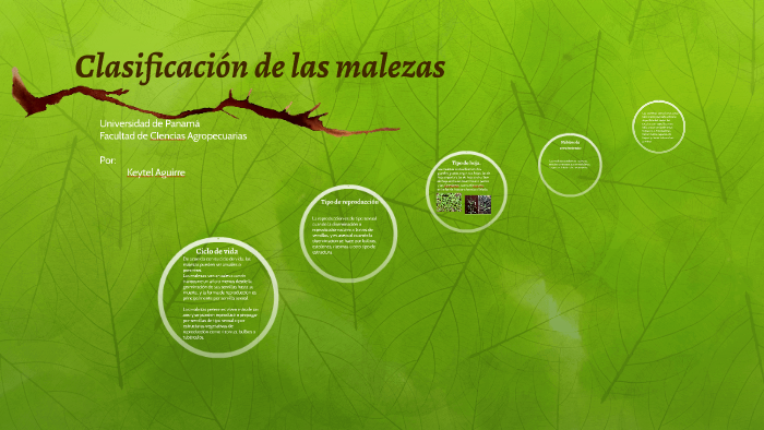 Clasificación de las malezas. by Keytel Aguirre on Prezi