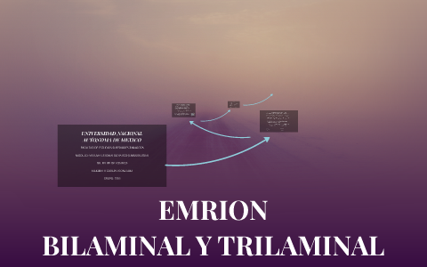 EMRION by BRENDA ELIZABETH CARAPIA GONZALEZ on Prezi