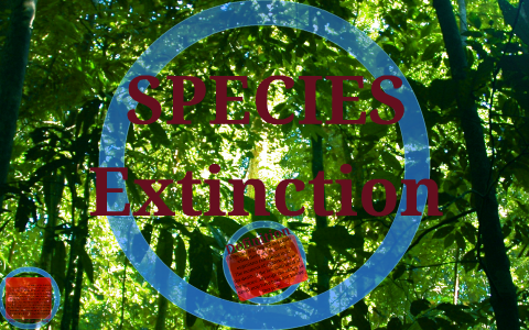 SPECIES Extinction by Andrew Gourley on Prezi