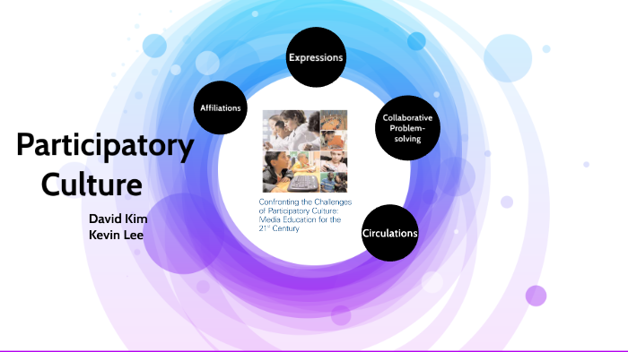 Participatory Culture by David Kim