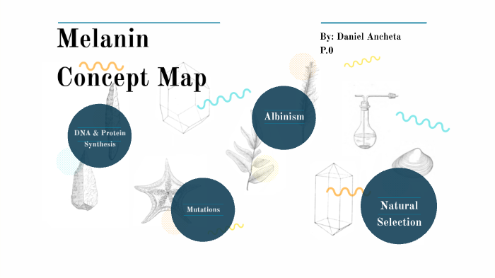 Melanin Concept Map by Daniel Ancheta on Prezi