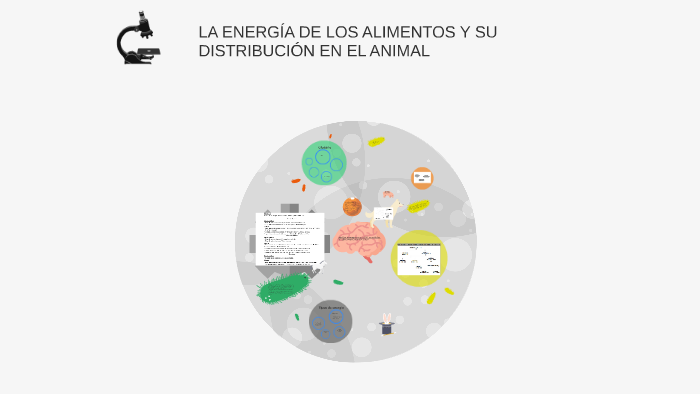 LA ENERGÍA DE LOS ALIMENTOS Y SU DISTRIBUCIÓN EN EL ANIMAL by Daniel ...