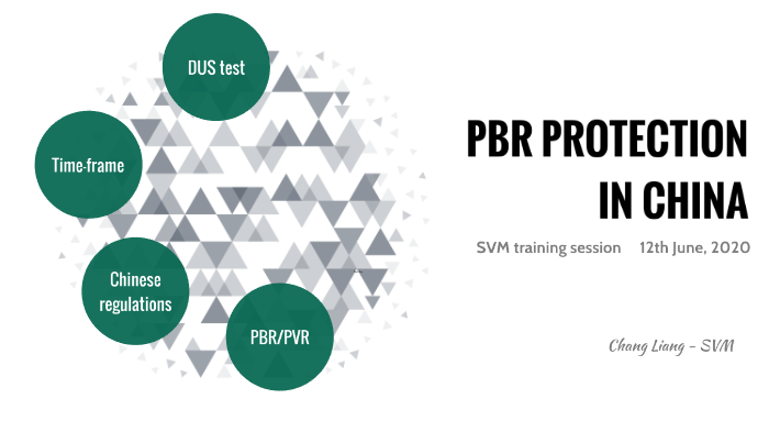 PBR protection in China by Chang Liang on Prezi
