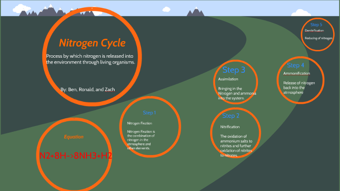 Nitrogen Cycle by Zach Sitton on Prezi