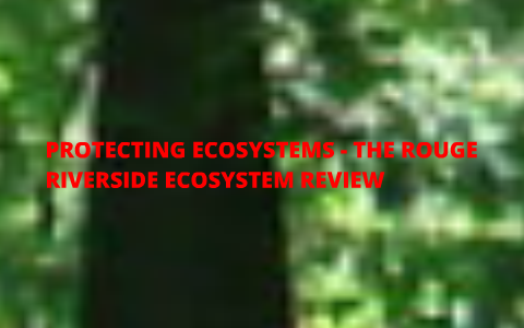 SNC1D - Ecosystems by Ashwin K on Prezi