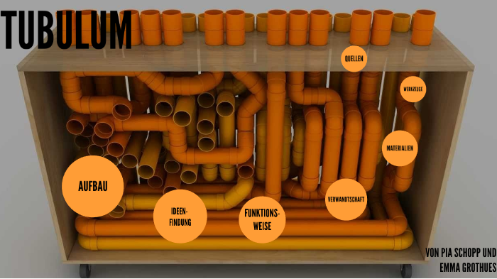 Tubulum by Pia Schopp on Prezi