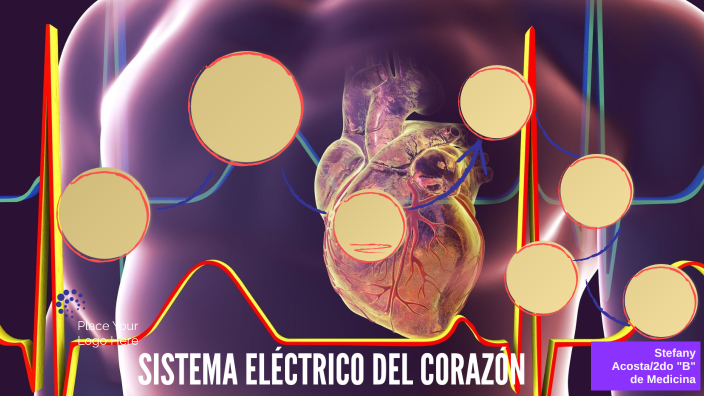 Sistema Eléctrico del corazón by Stefy Acosta on Prezi