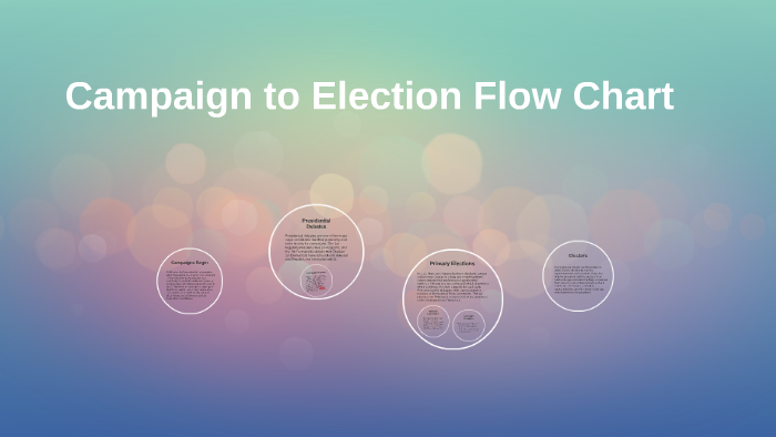 Campaign to Election Flow Chart by Alexa Guan on Prezi