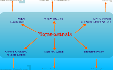 Unit 5: Homeostasis by Zuo tian bleu on Prezi