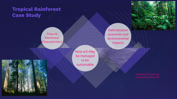 Tropical Rainforest (Case Study) by Tejal Vyas on Prezi