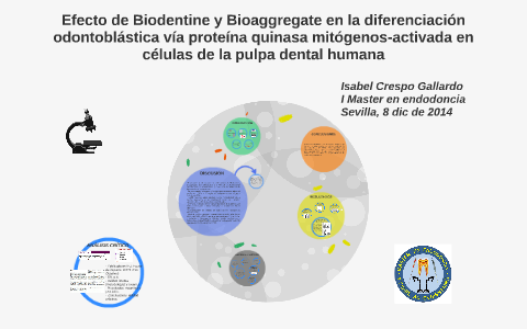 Efecto de Biodentine y Bioaggregate en la diferenciación odo by on Prezi