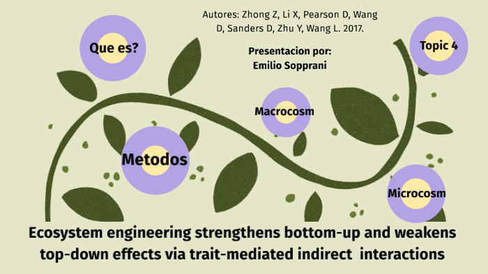 Ecosystem engineering strengthens bottom-up and weakens top-down ...