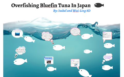 Over-Fishing In Japan by Izzy Epic on Prezi