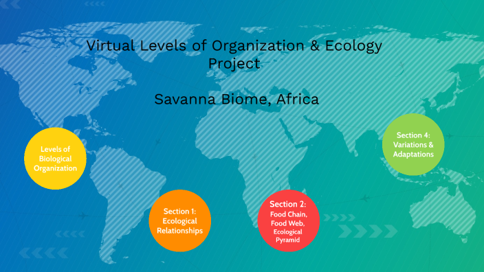 Virtual Levels of Organization & Ecology Project by alp tunc on Prezi