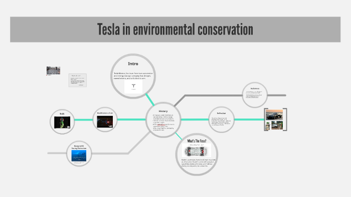 Tesla in environmental conservation by Bill Doe on Prezi