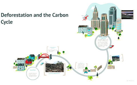 Deforestation and the Carbon Cycle by allly geraghty on Prezi