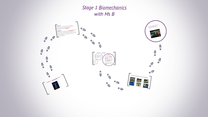 Stage 1 Biomechanics Assignment by Lydia B