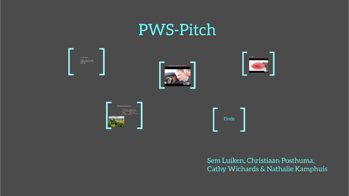 PWS-website-pitch by chris post on Prezi