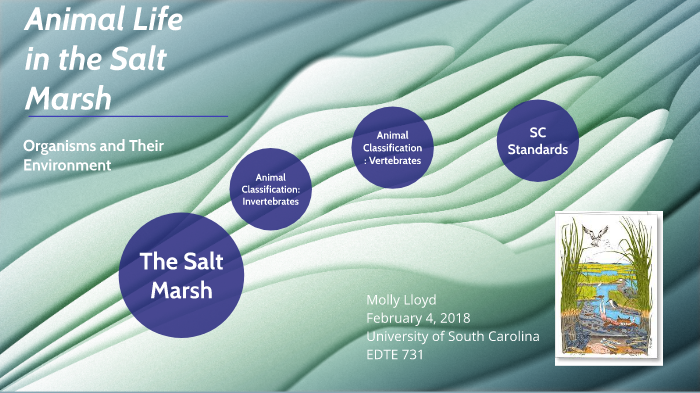 Salt Marsh Animal Classifications by virginia lloyd on Prezi