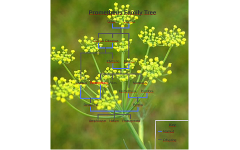 Prometheus Family Tree by Luke Mangney on Prezi