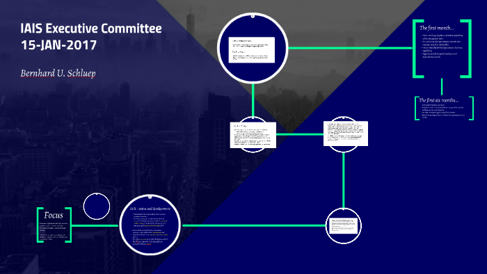 IAIS Executive Committee by Bernhard Schluep - bernhard.schluep@gma on ...
