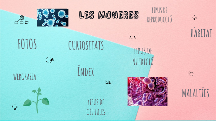 Les Moneres by ariadna muñoz reche on Prezi