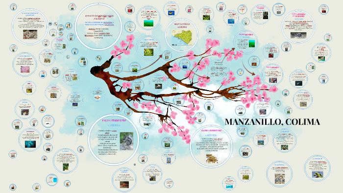 FLORA Y FAUNA DE MANZANILLO, COLIMA by Esme Jackson on Prezi