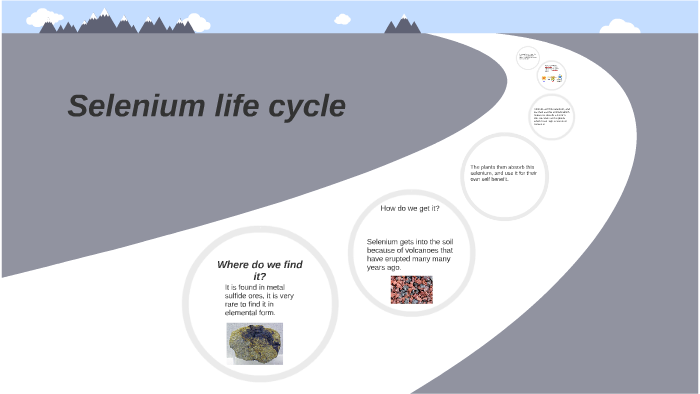 Selenium Life Cycle by Samih Amer on Prezi