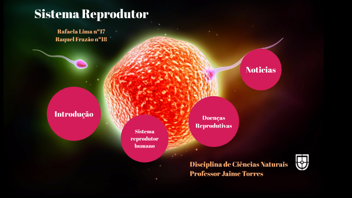 Sistema reprodutor by Daniela Frazão on Prezi Sistema reprodutor by Daniela Frazão on Prezi