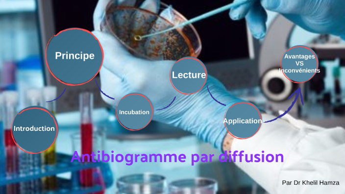 Antibiogramme par diffusion by hamza khelil on Prezi