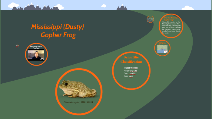 Dusty Gopher Frog by William Opoku on Prezi