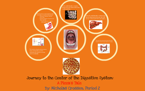 Journey to the Center of the Toilet: A Pizza's Journey through the ...