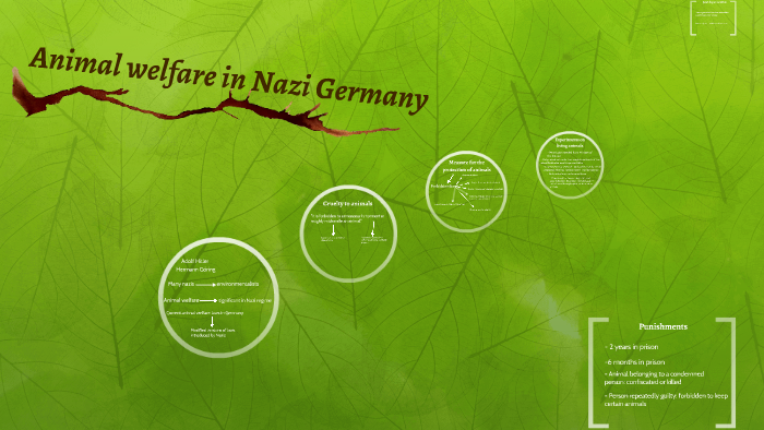 Animal welfare in Nazi Germany by Mercedes Batalla on Prezi