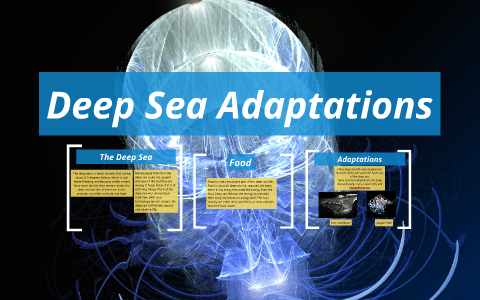 Deep Sea Adaptations by Marco Lam on Prezi