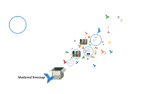 Shattered Knee Cap by Raegan Sanders on Prezi